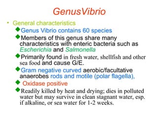 Vibrio cholera bacteriology advanced.ppt