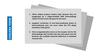 VIBRIO CHOLERA: A GRAM NEGATIVE BACTERIUM THAT CAUSE CHOLERA | PPTX