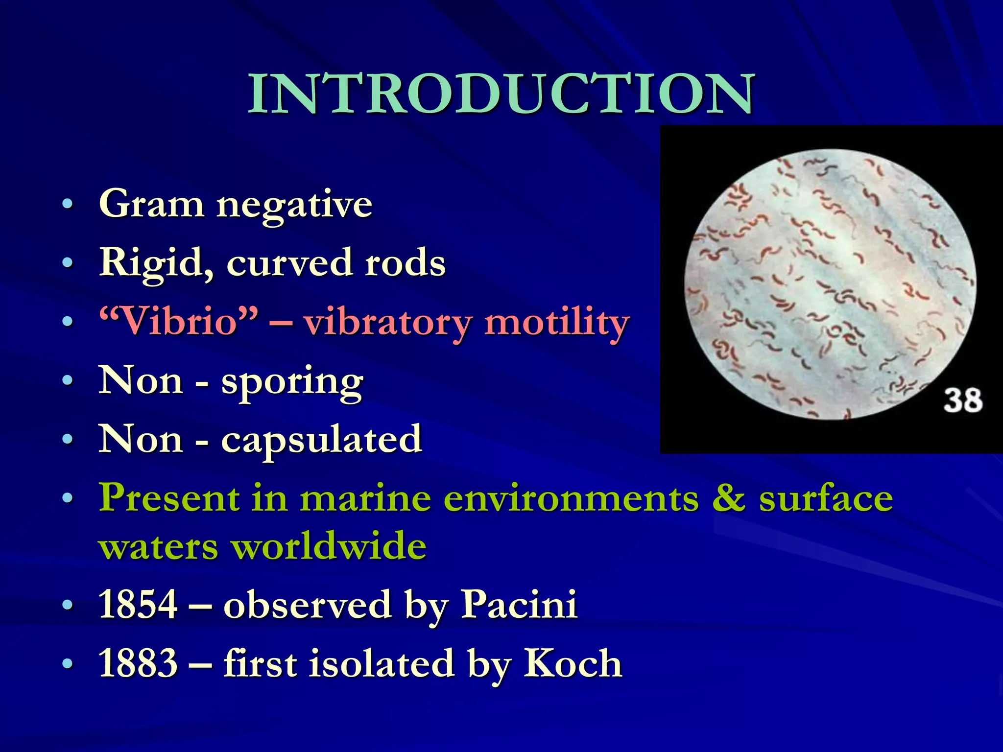 Vibrio cholera and Halophilic vibrio.ppt
