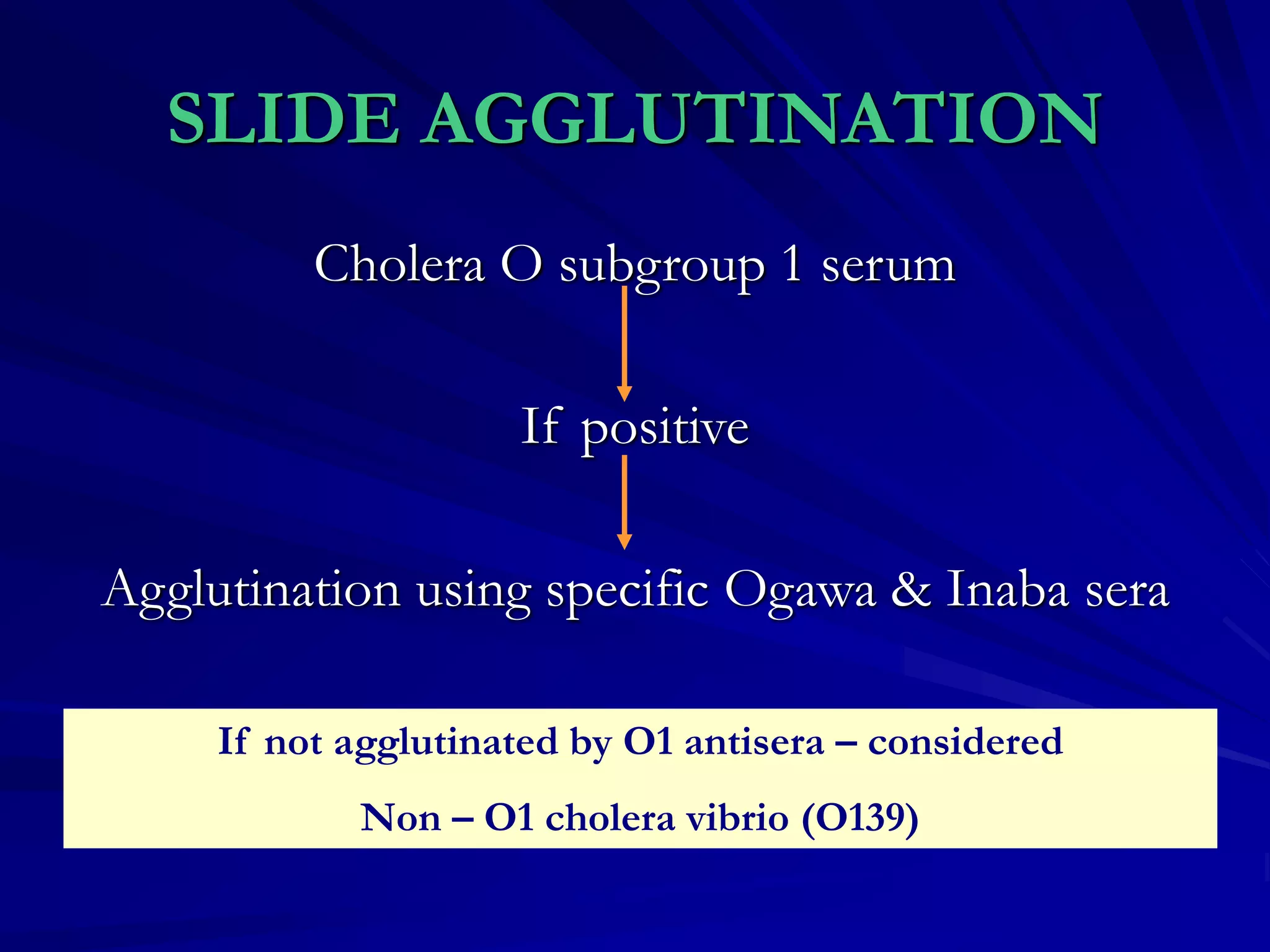 Vibrio cholera and Halophilic vibrio.ppt
