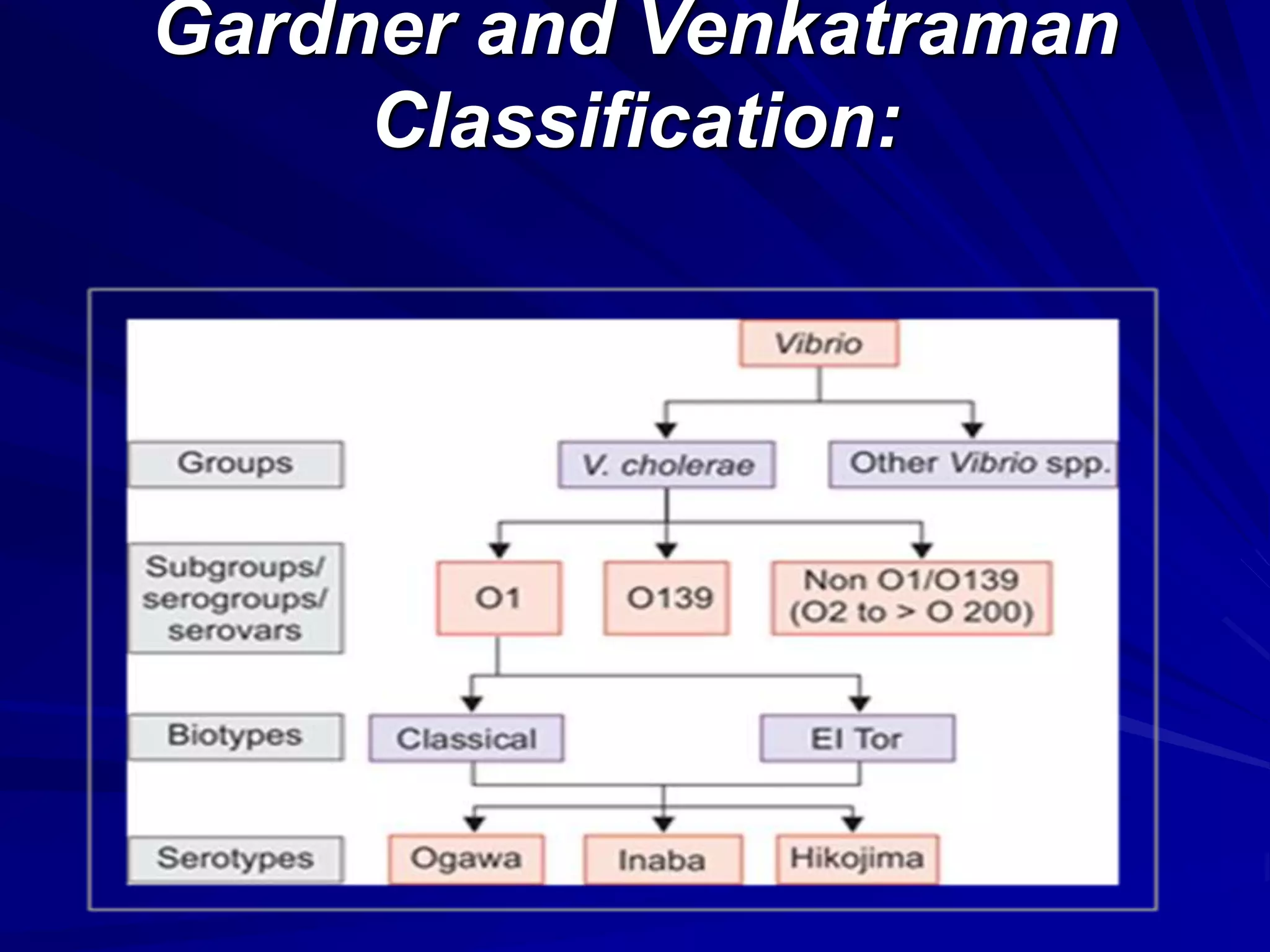 Vibrio cholera and Halophilic vibrio.ppt