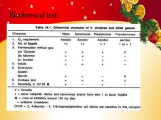 Vibrio cholerae PPT for students | PPTX