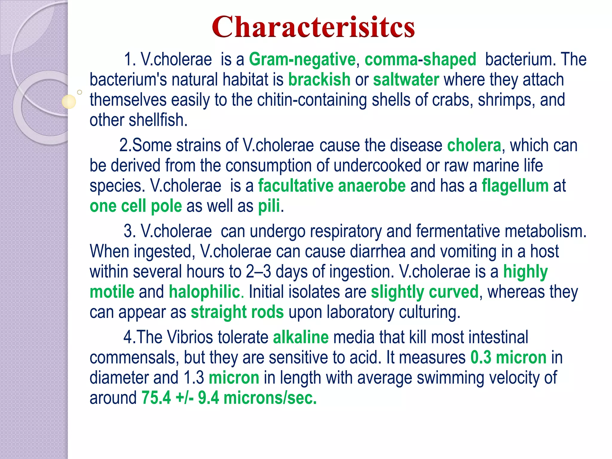 Vibrio cholerae | PPTX