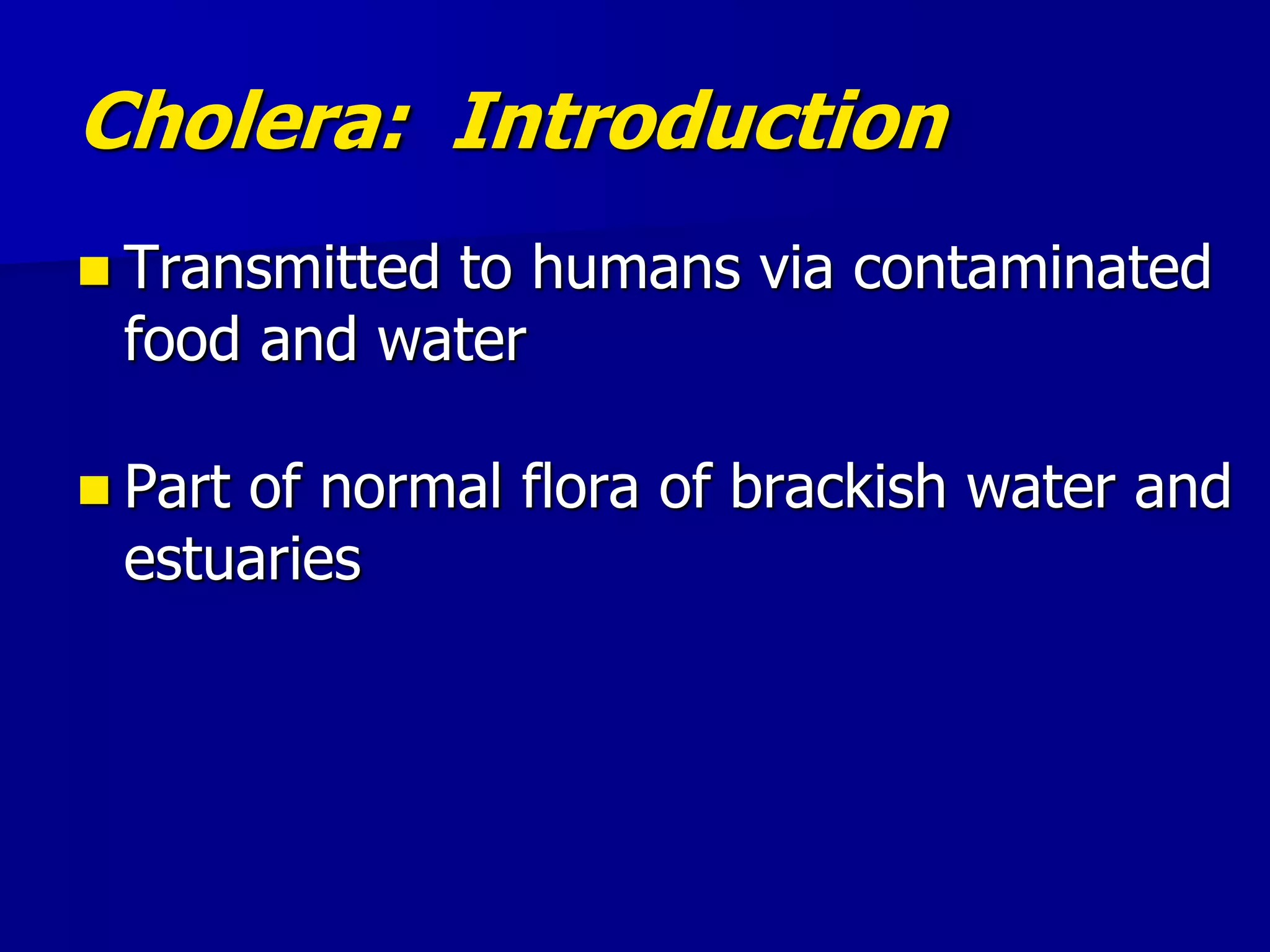 Vibrio_cholerae.ppt | Infectious Diseases | Diseases and Conditions