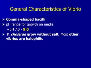 Vibrio_cholerae.ppt | Infectious Diseases | Diseases and Conditions