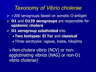 Vibrio_cholerae.ppt