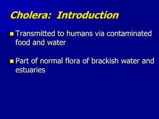 Vibrio_cholerae.ppt