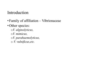 Vibrio cholerae.ppt