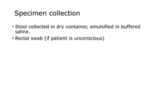 Vibrio cholera, Pathogenesis, Mode of transmission, symptoms and ...