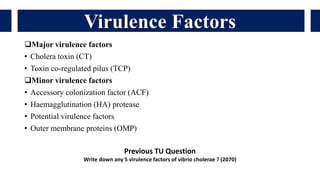 Vibrio cholerae | PDF