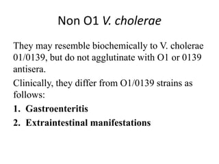 Vibrio cholerae non 01 | PPTX