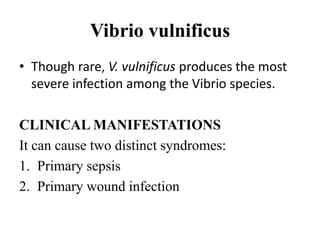 Vibrio cholerae non 01 | PPTX