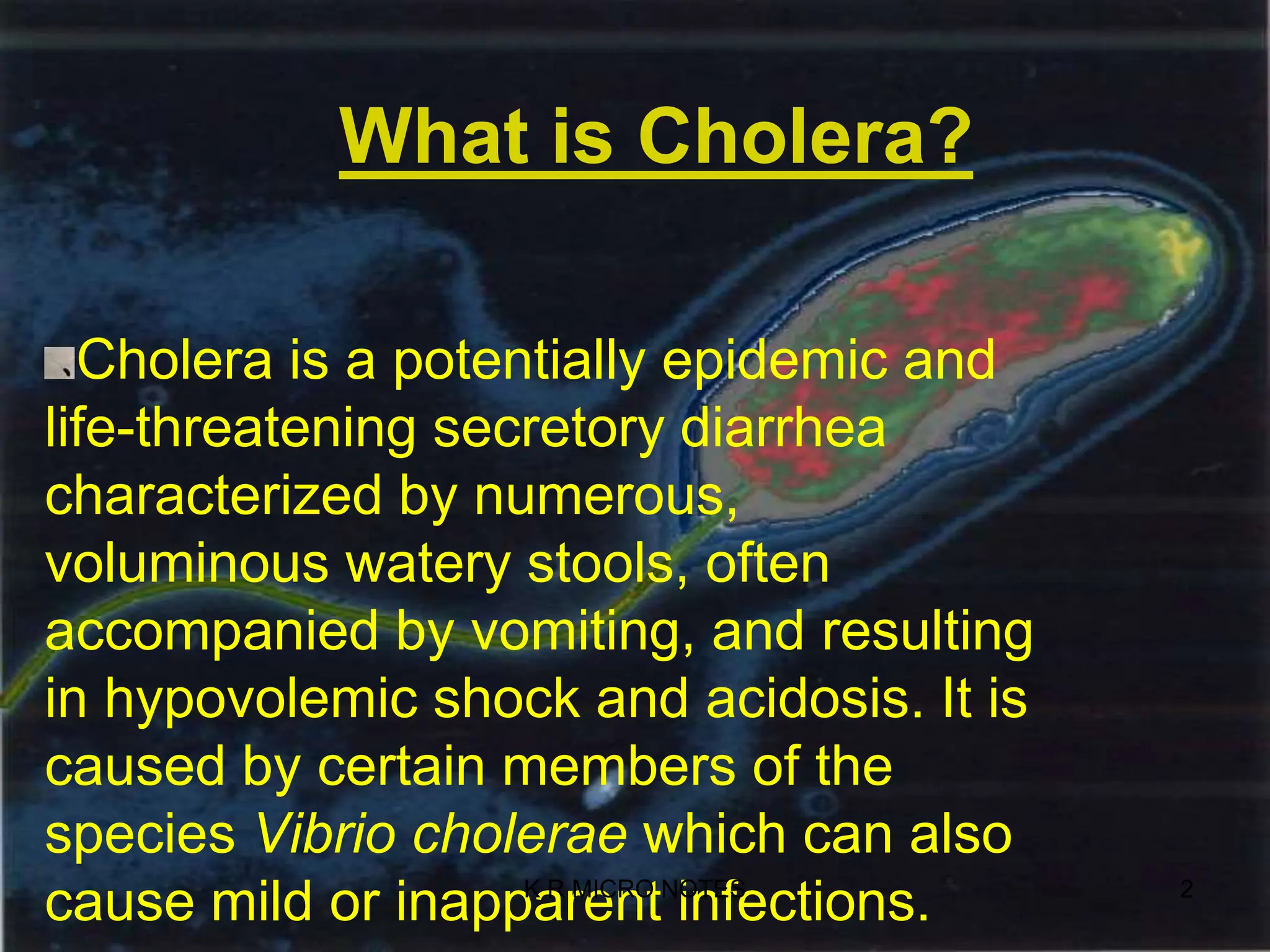 Vibrio Cholera .ppt