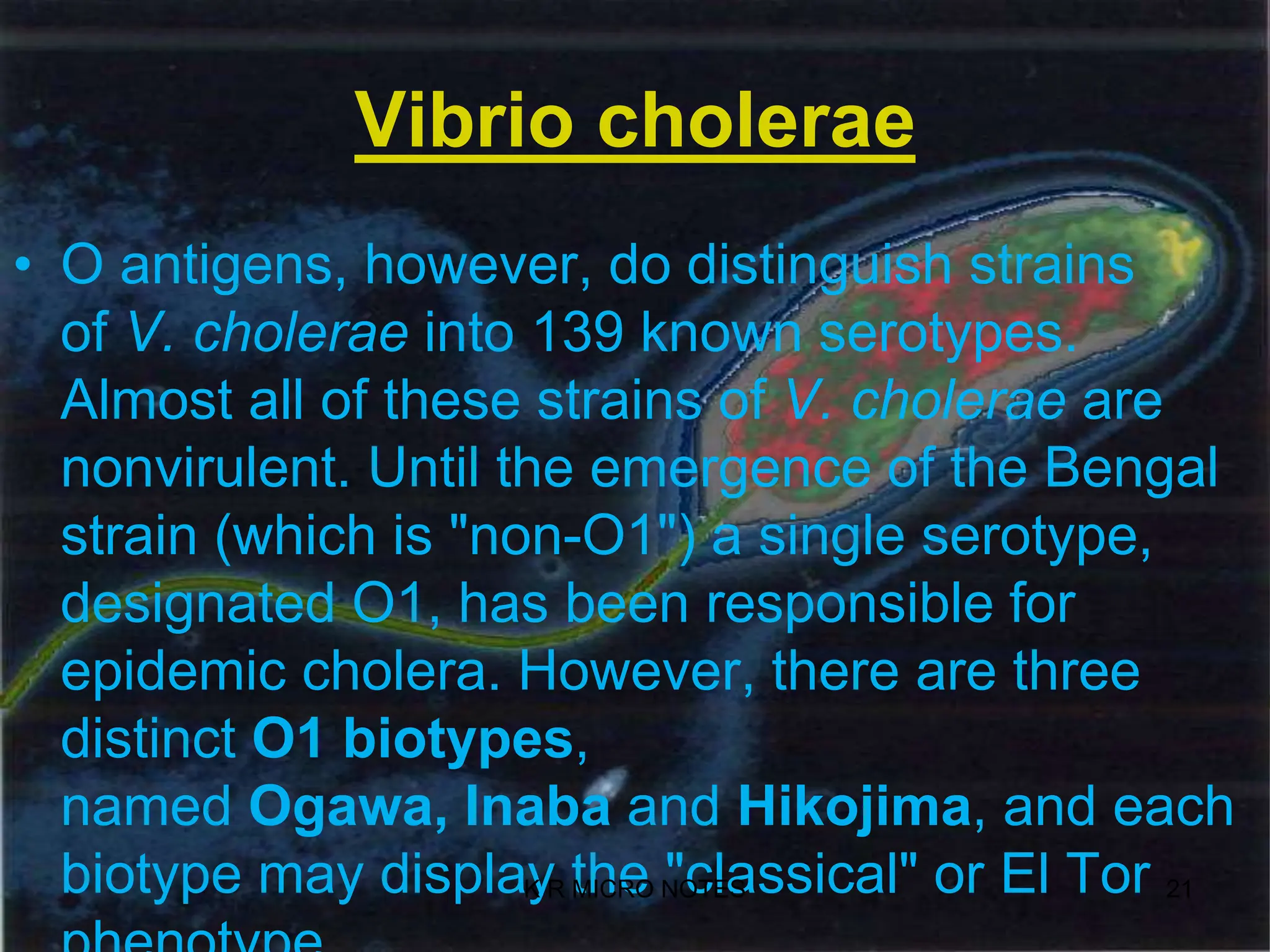 Vibrio Cholera .ppt