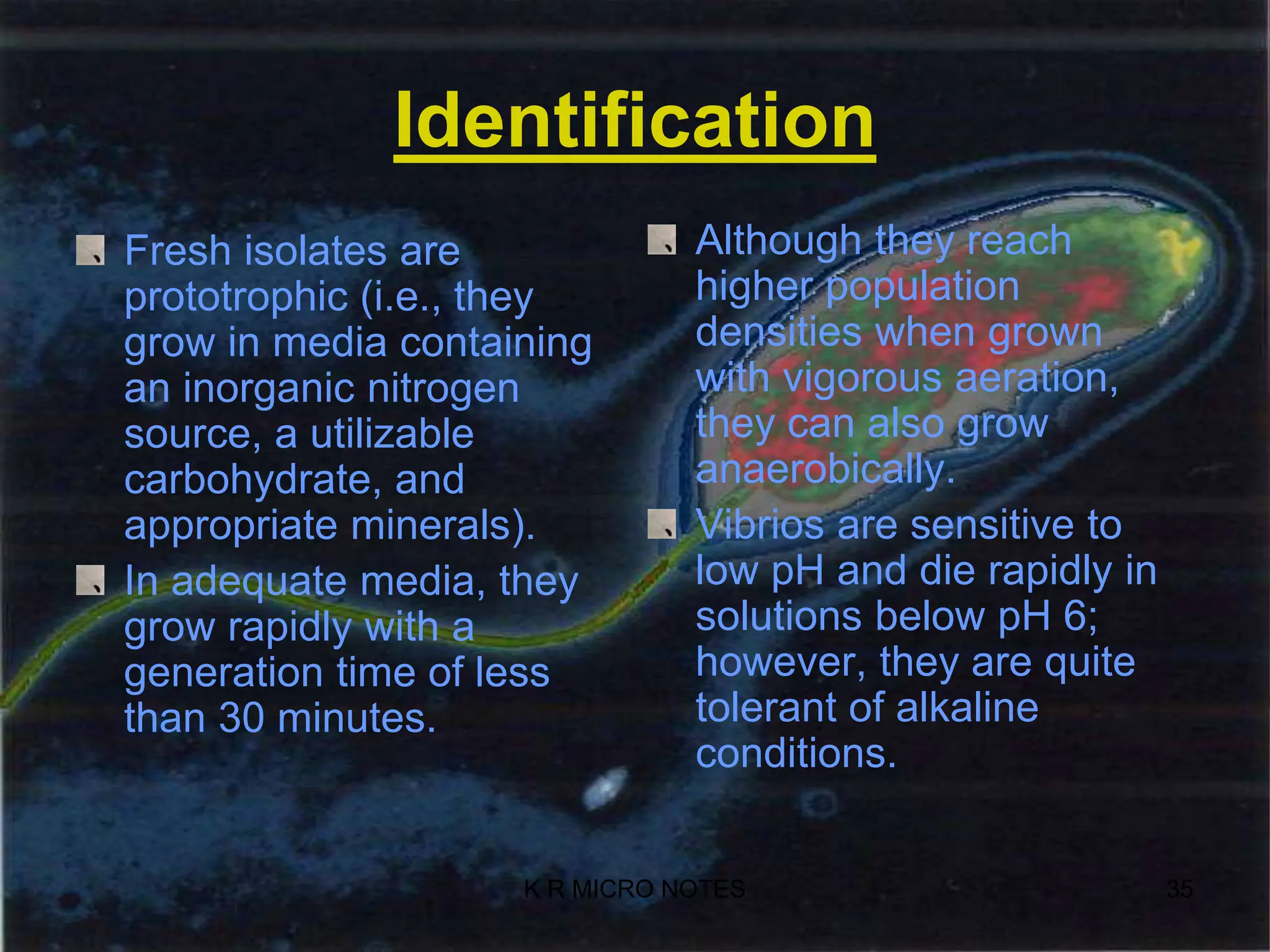 Vibrio Cholera .ppt
