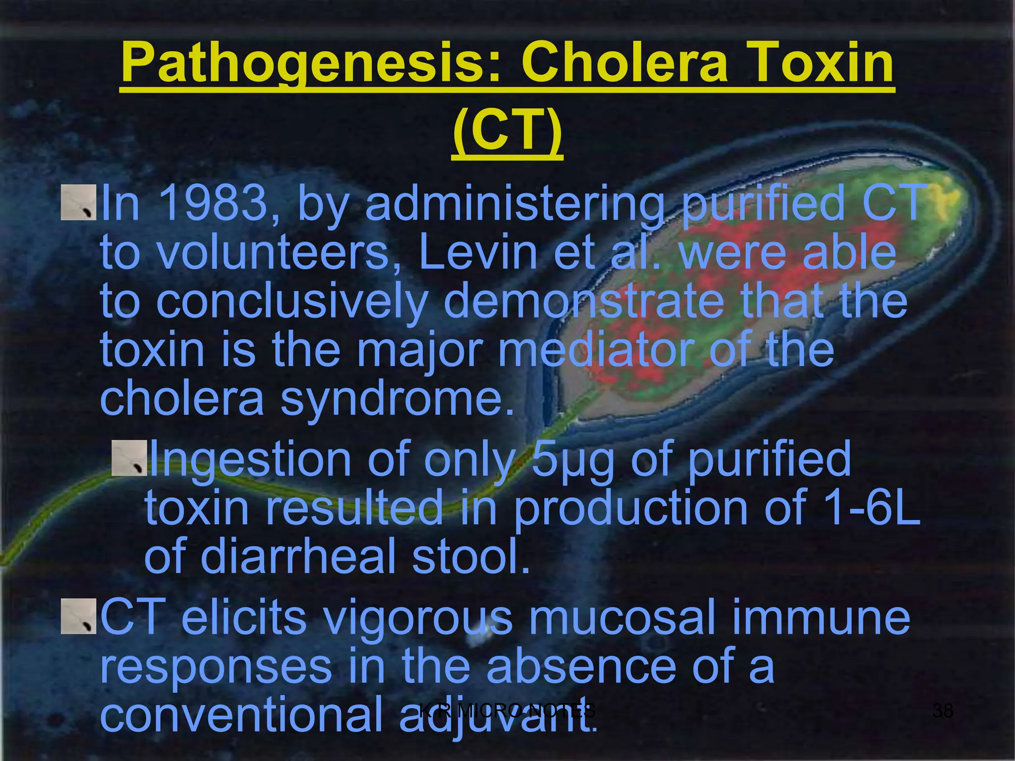 Vibrio Cholera .ppt | Digestive Disorders | Diseases and Conditions