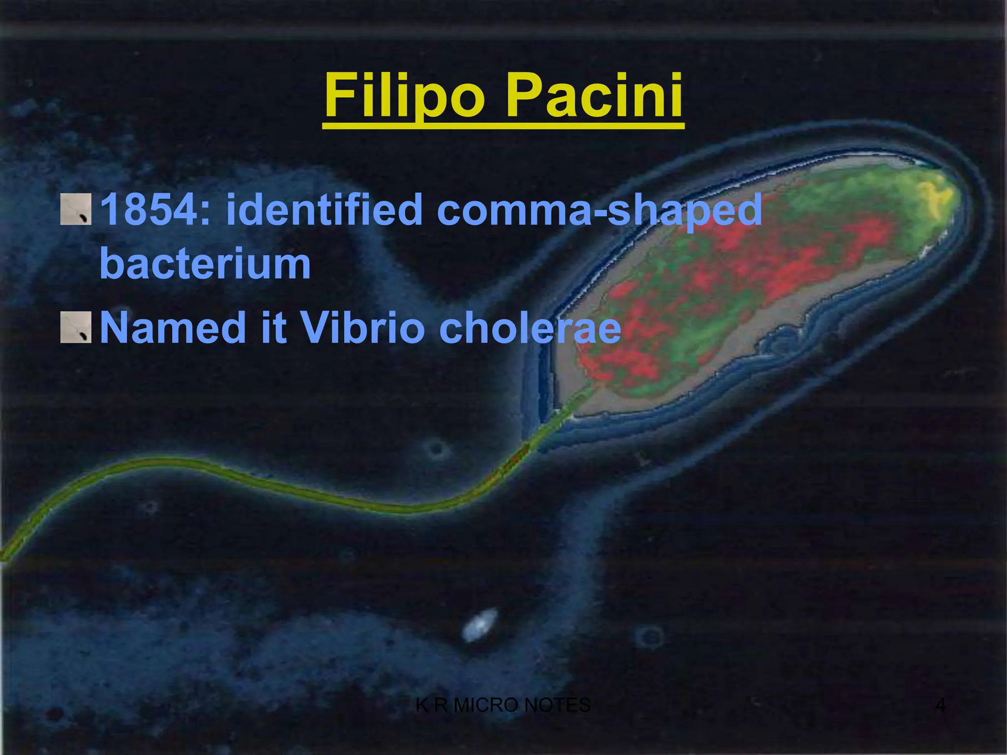 Vibrio Cholera .ppt