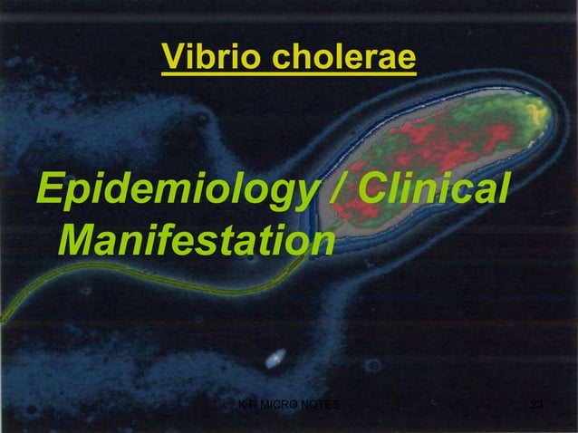 Vibrio Cholera .ppt | Digestive Disorders | Diseases and Conditions