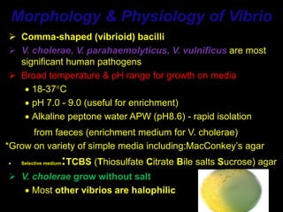 Vibrio & other related organisms dr. ihsan alsaimary lec 10 | PPT