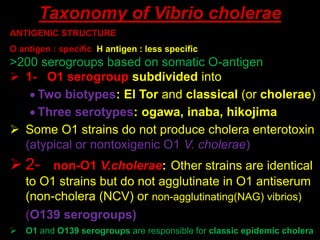 Vibrio & other related organisms dr. ihsan alsaimary lec 10 | PPT