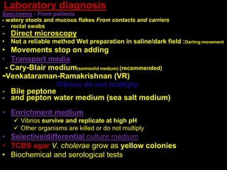 Vibrio & other related organisms dr. ihsan alsaimary lec 10 | PPT