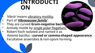 VIBRIO PARAHAEMOLYTICUS.pptx for microbiology | PPTX