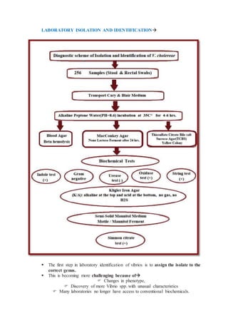 Vibrio practical notes | DOCX