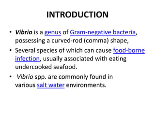 VIBRIOS.pptx