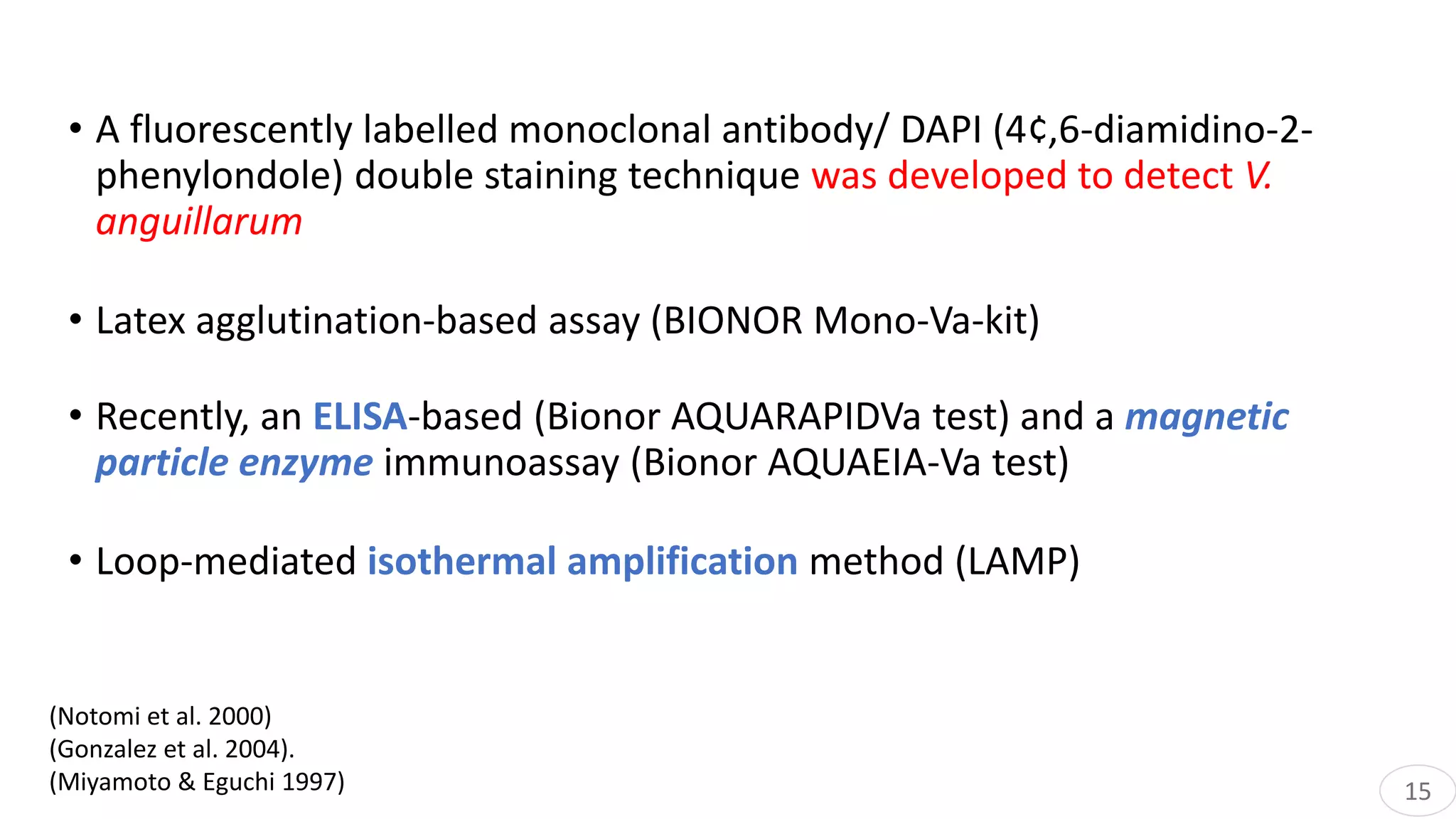 Vibriosis in marine fish | PPTX