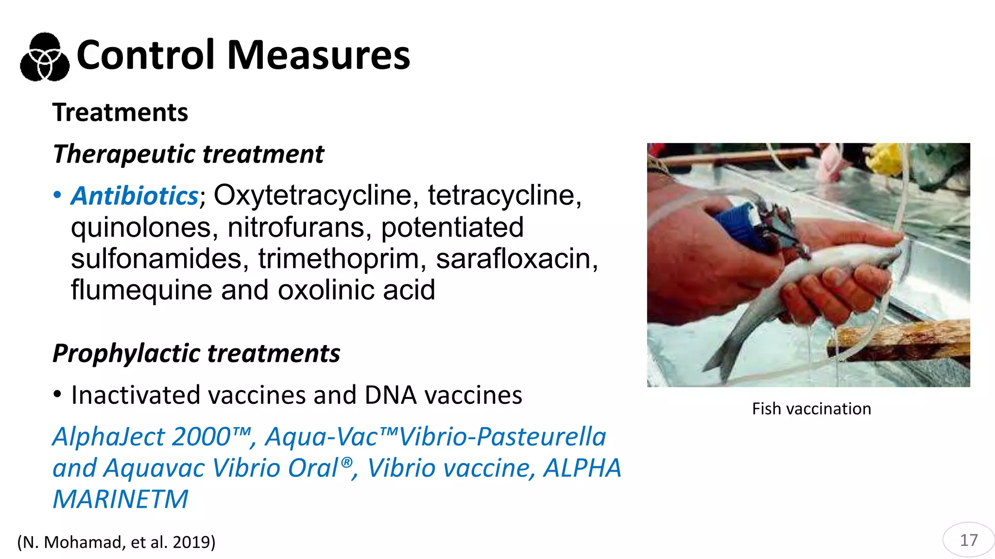 Vibriosis in marine fish | PPTX