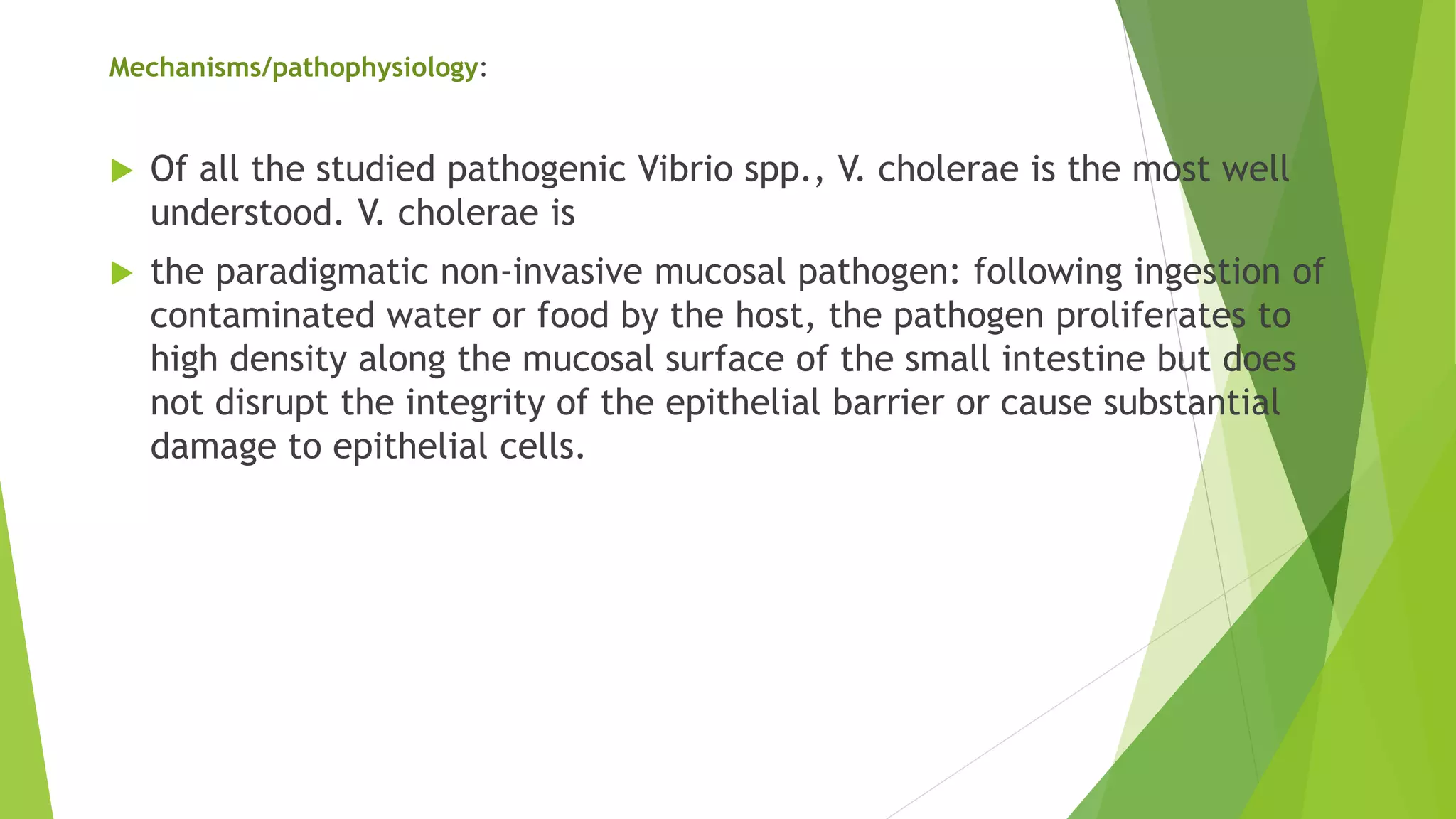 Vibrio spp. (Group presentation).pptx