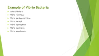Vibrio spp. (Group presentation).pptx
