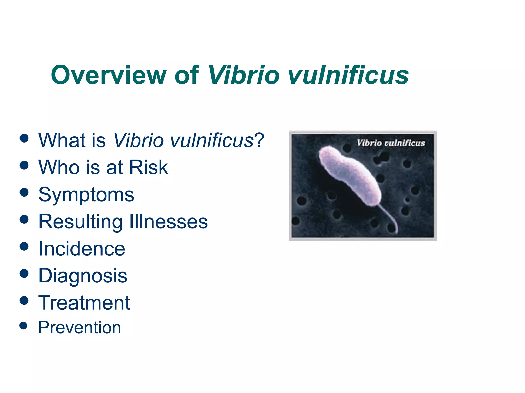 Vibrio vulnificus | PPT
