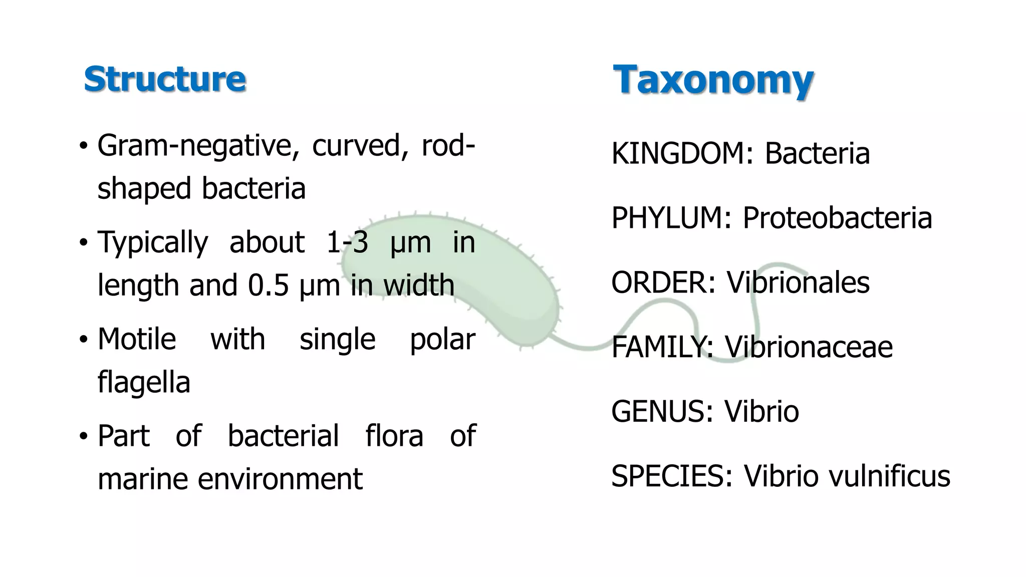 Role of climate change and increasing Vibrio vulnificus infections in ...