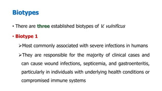 Role of climate change and increasing Vibrio vulnificus infections in ...