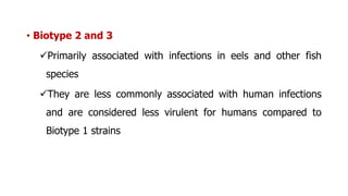 Role of climate change and increasing Vibrio vulnificus infections in ...
