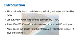 Role of climate change and increasing Vibrio vulnificus infections in 2023 | PPTX
