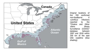 Role of climate change and increasing Vibrio vulnificus infections in ...