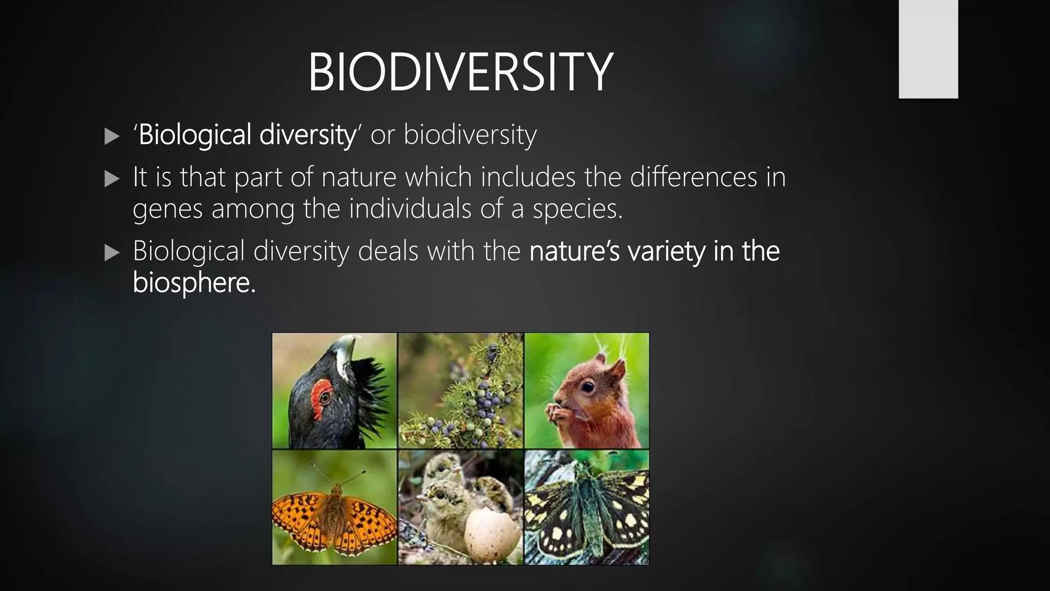 BIODIVERSITY : VALUE, HOTSPOT & THREATS | PPTX