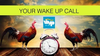 Vib wake up call | PDF