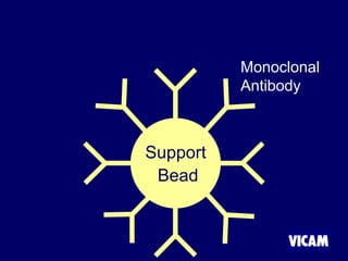 Vicam Ia Working Principle | PDF
