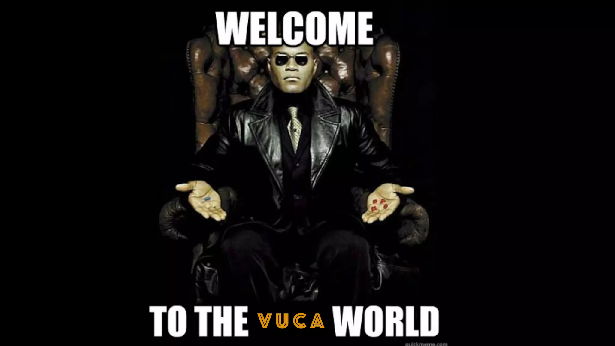 Survive the Unreasonable VUCA World | PDF | Business | Business and Finance
