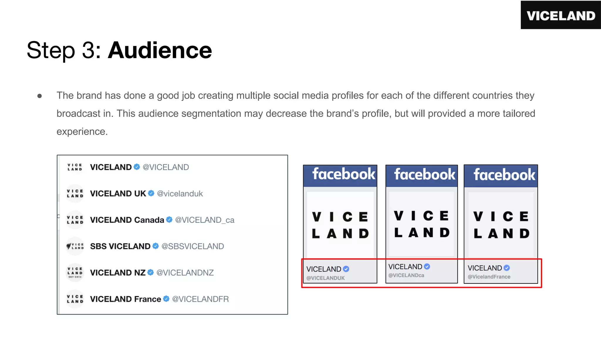 Viceland Social Media Brand Assessment | PDF