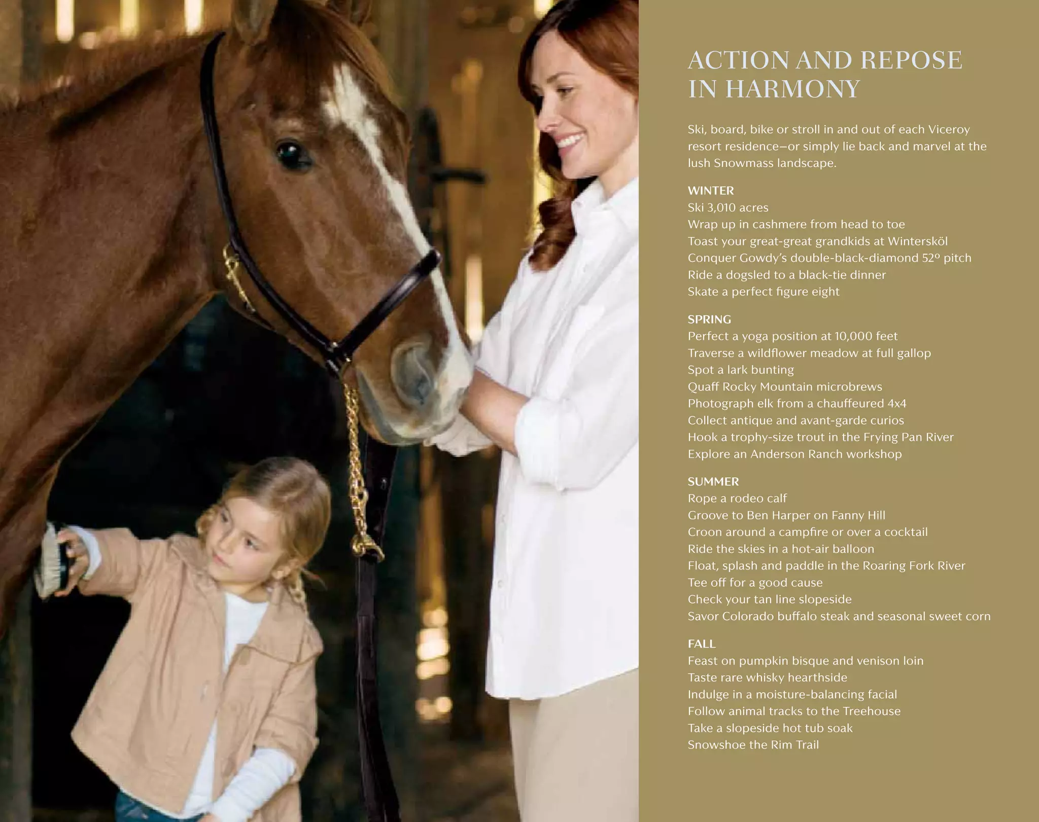Viceroy Snowmass Brochure | PDF
