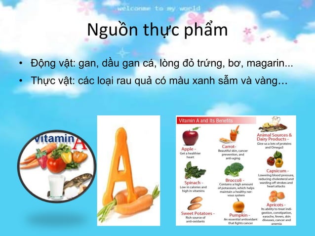 Vi chất dinh dưỡng nhóm 11 | PPTX