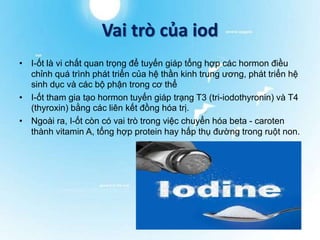 Vi chất dinh dưỡng nhóm 11 | PPT