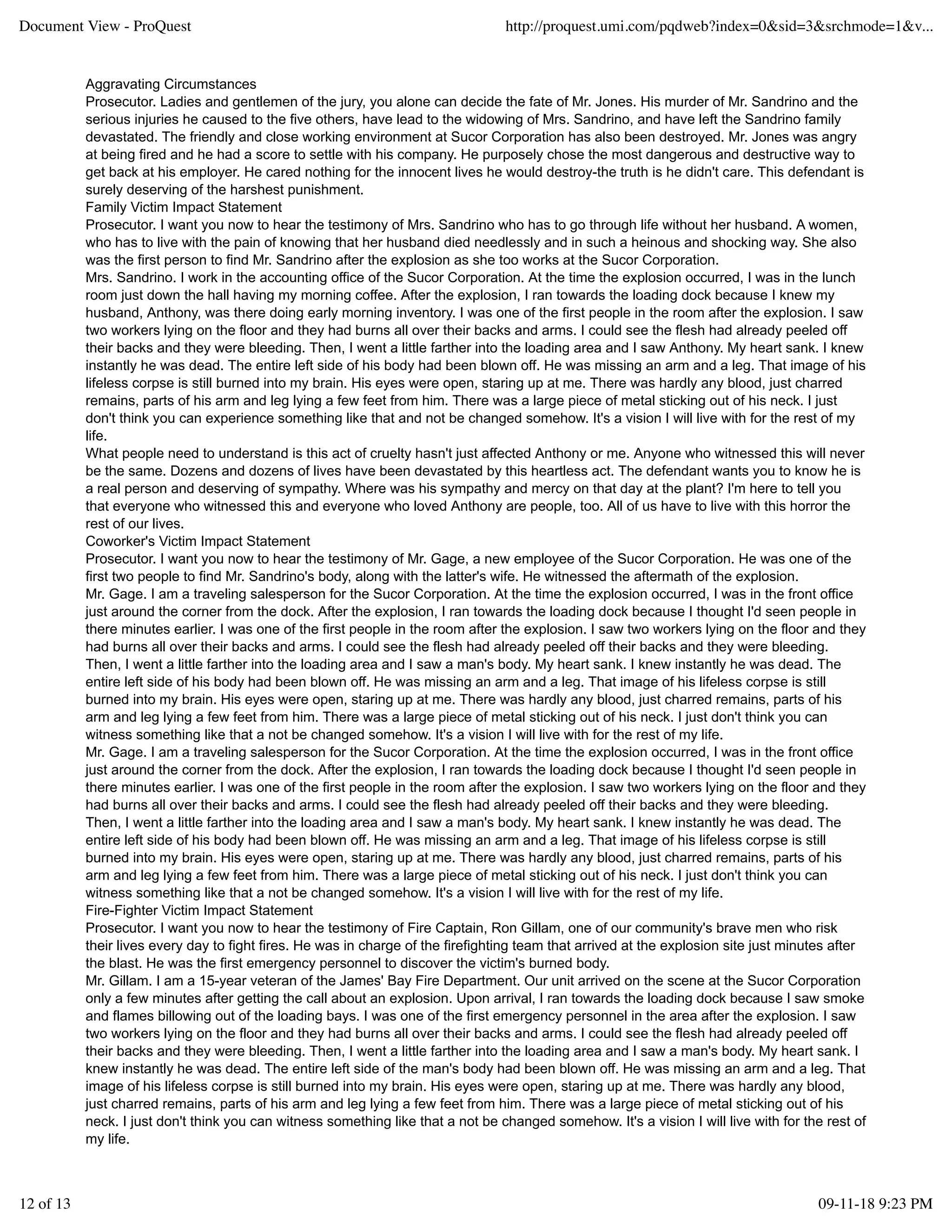 Victim Impact Statement 2004 | PDF