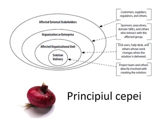 Victoria Cupet - Let's make stakeholder analysis | PDF