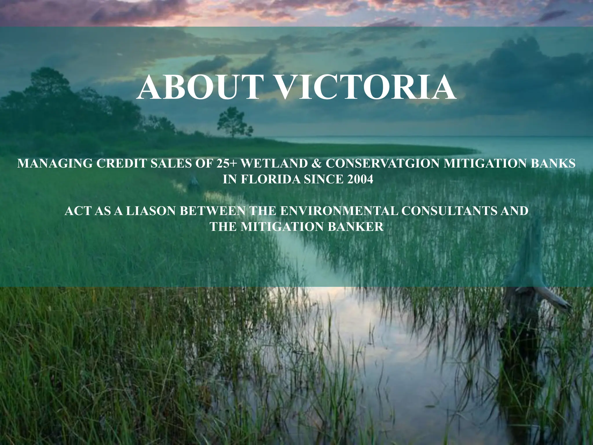 Wetland Mitigation Banking: Strategies and Processes for Ecological ...