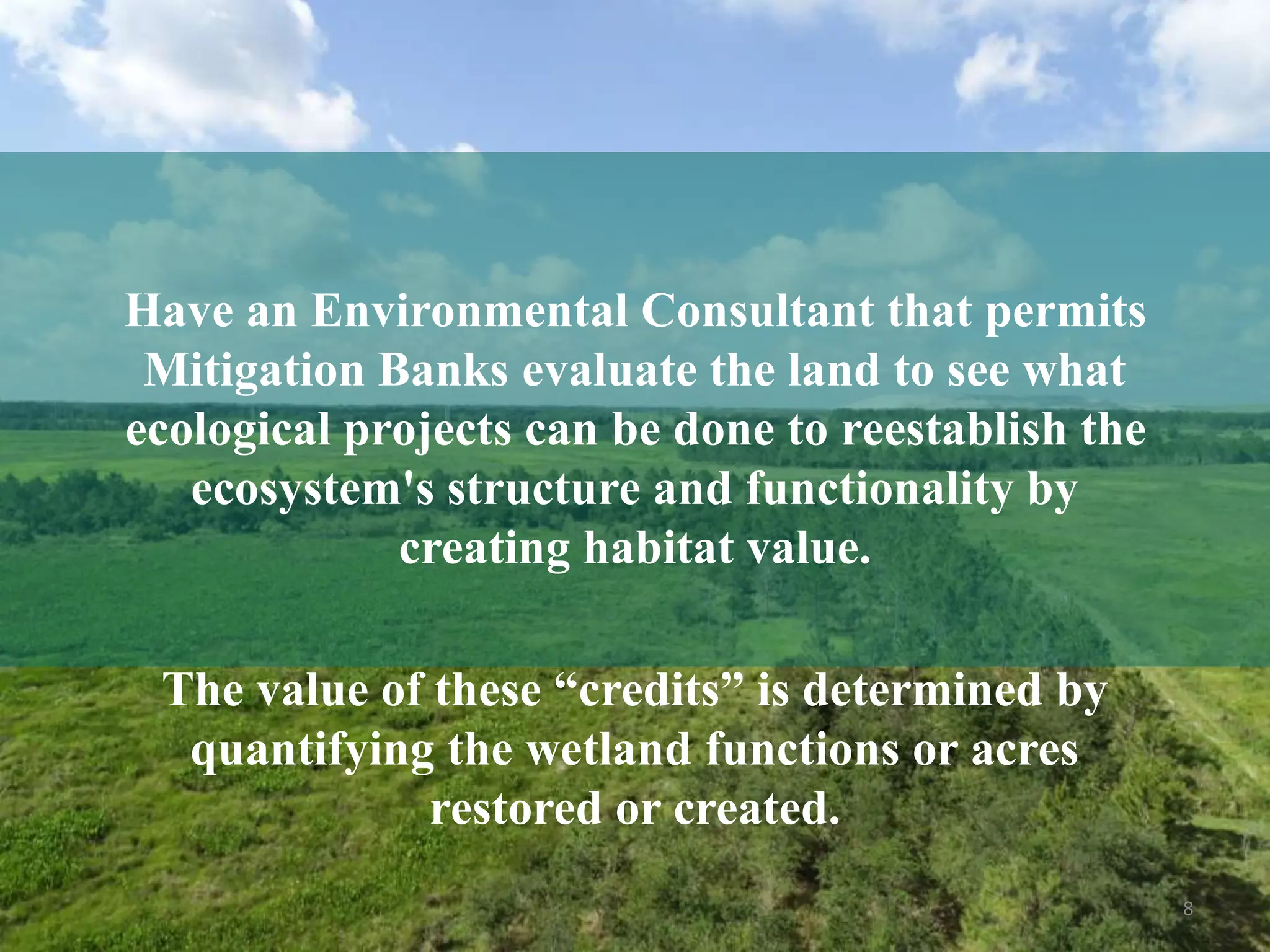 Wetland Mitigation Banking: Strategies and Processes for Ecological ...